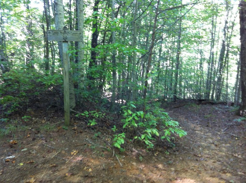 Here's the split for the Long Branch loop. I suggest and the map shows ...