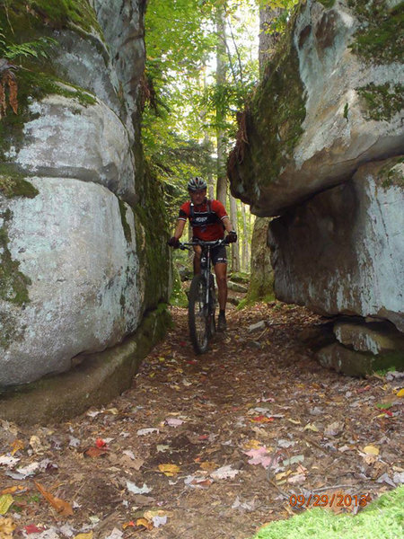 Outcrop Trail Mountain Bike Trail, Waterford, Pennsylvania