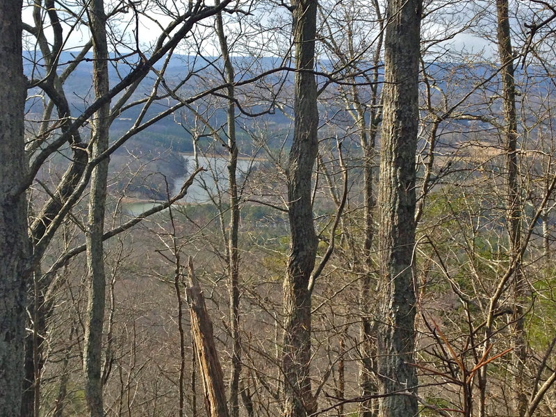 Pinhoti - Taylor Ridge South Mountain Bike Trail, Summerville, Georgia