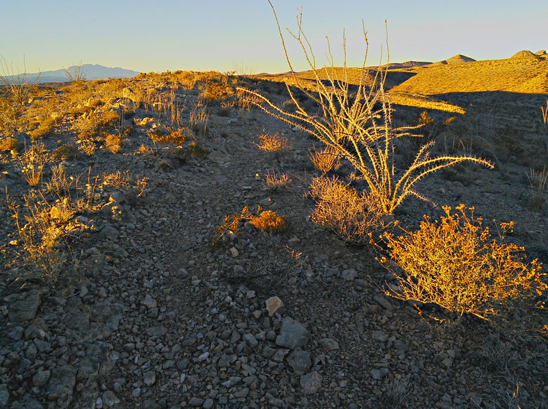 Quebradas Cerrillos del Coyote Widetrack Mountain Bike Trail, Socorro ...