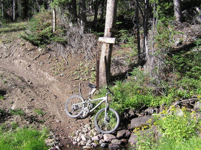Small stream crossing.