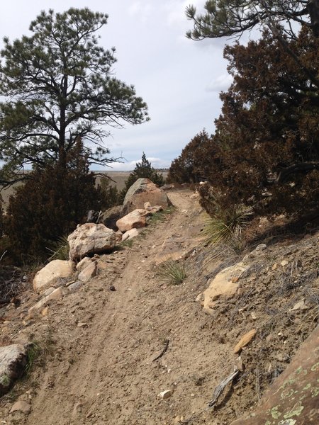 Beautiful bench cut!