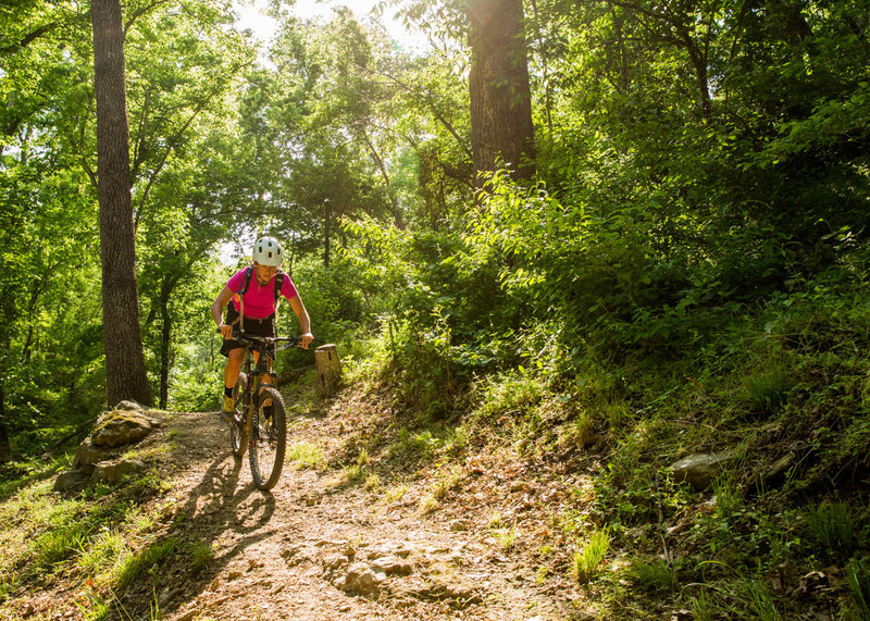 Park Spring Loop is a great place for beginners or a quick ride