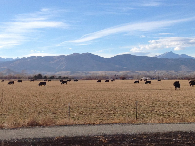 Beautiful views to the west along the Niwot trail section along 83rd St ...