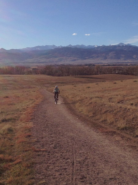 A short climb along the Niwot Loop. Beautiful views of the front range ...