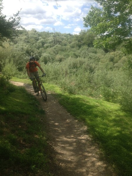 Buck Run Mountain Bike Trail, Schnecksville, Pennsylvania