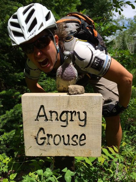 Beware the Angry Grouse!