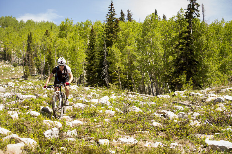 An extra rocky section on Pete's Wicked trail requires some good ...