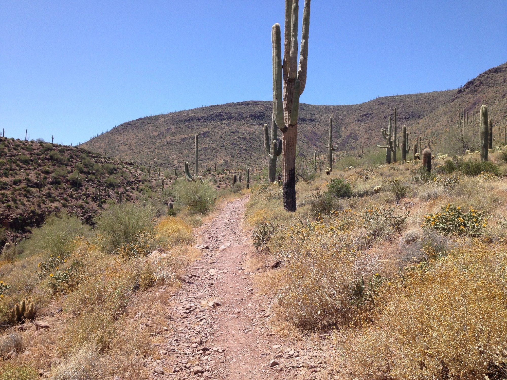 Beginning of steep section on Spur Cross Trail. The summit is not far ...