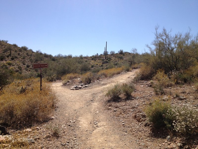 Junction of Go John Trail and Overton Trail; stay to the right and ...