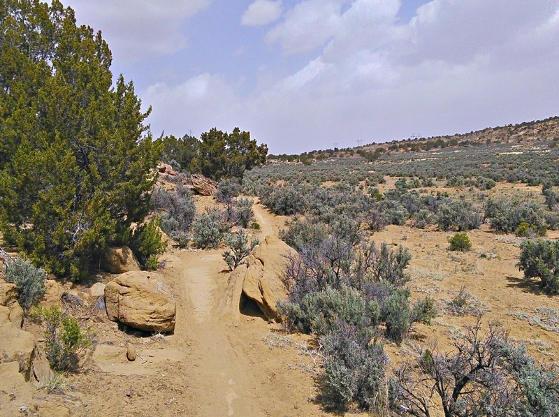 The Stem Mountain Bike Trail, Gallup, New Mexico