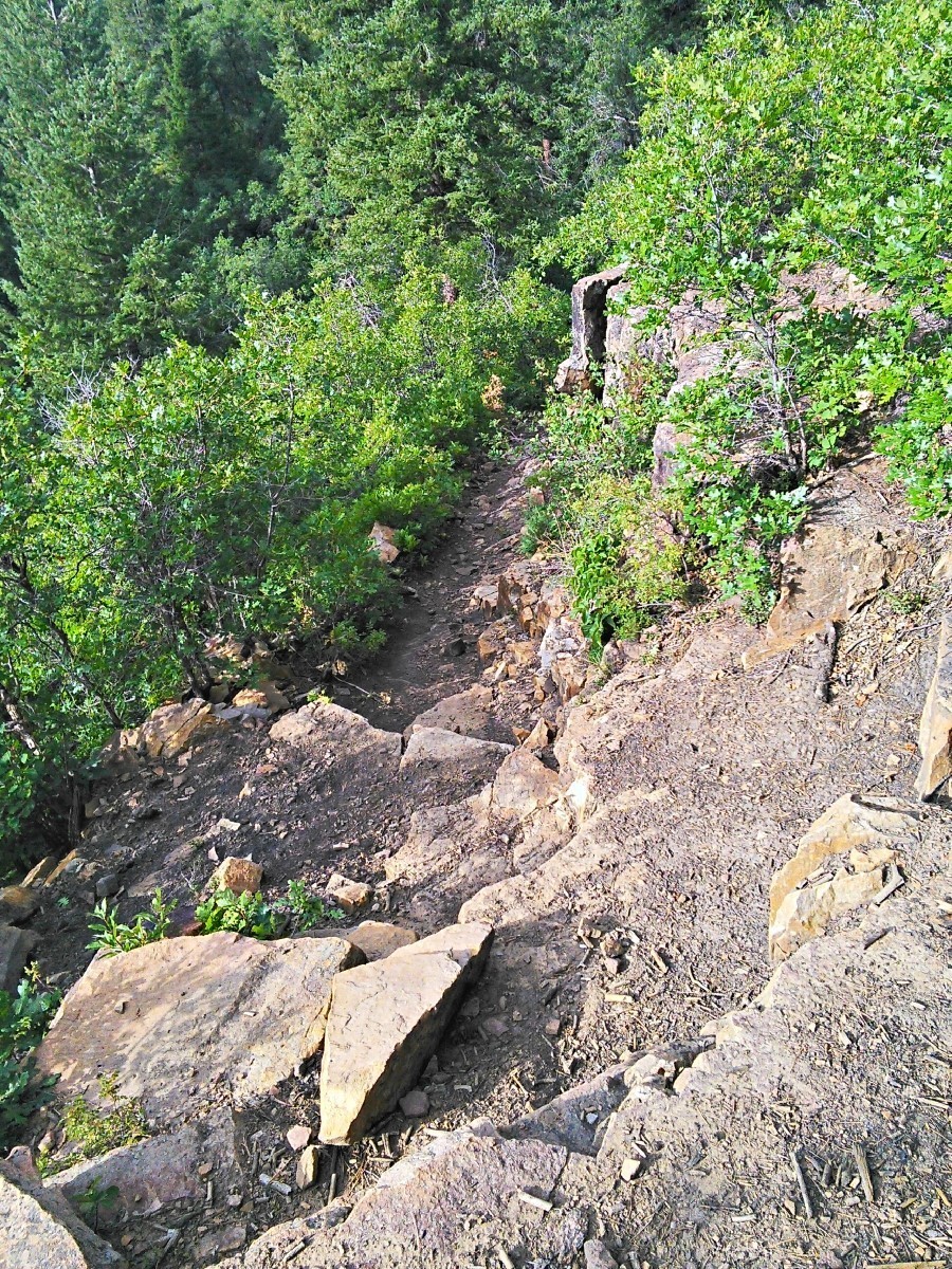 The initial plunge into the gorge is quite steep and rocky, with ...