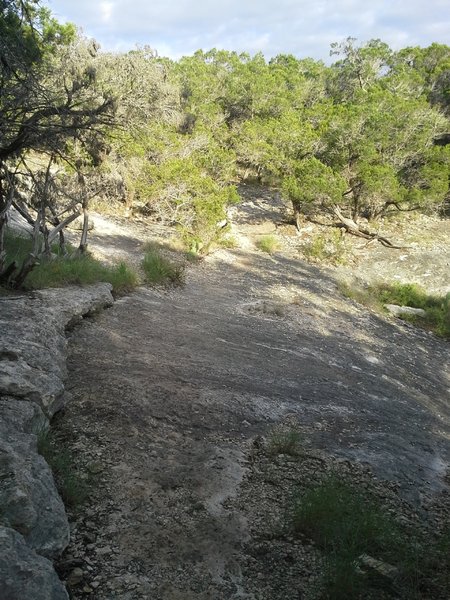A section of slick rock trail along the Goodwater Loop