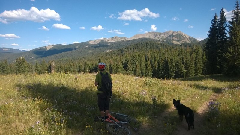 Beckwith Pass Trail 842 Mountain Bike Trail, Crested Butte, Colorado