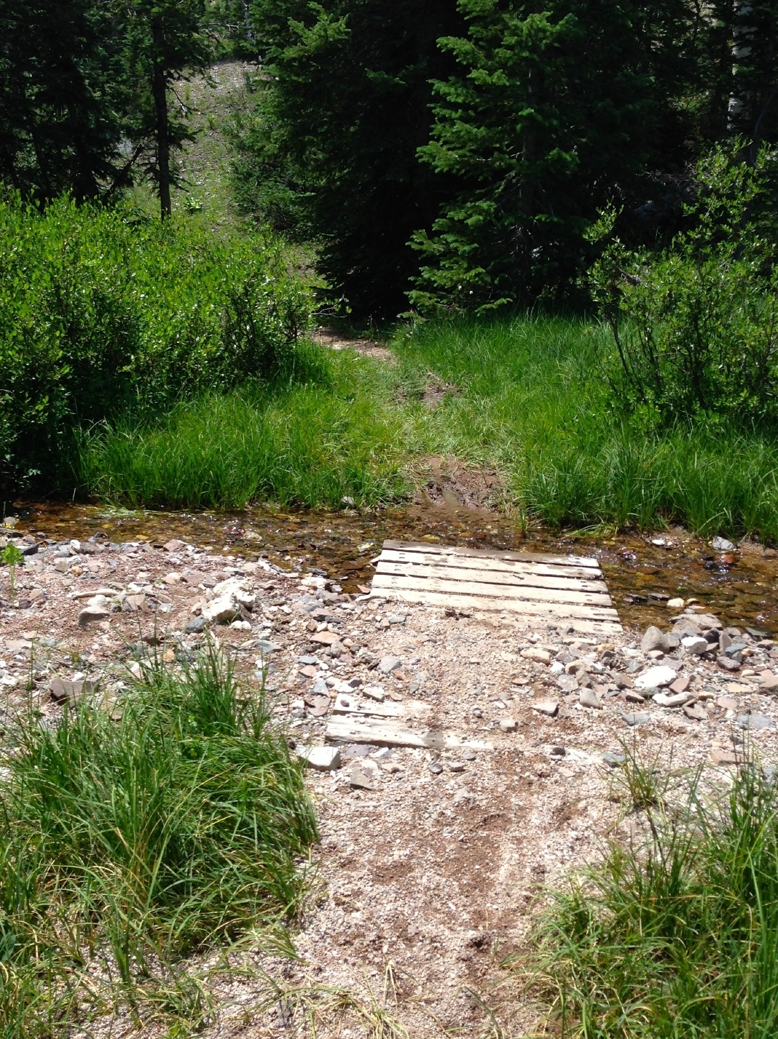 The first stream crossing on Lowder Pond Loop