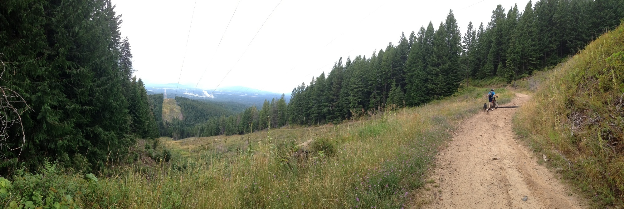 Looking West out over the Purcell Trench Valley
