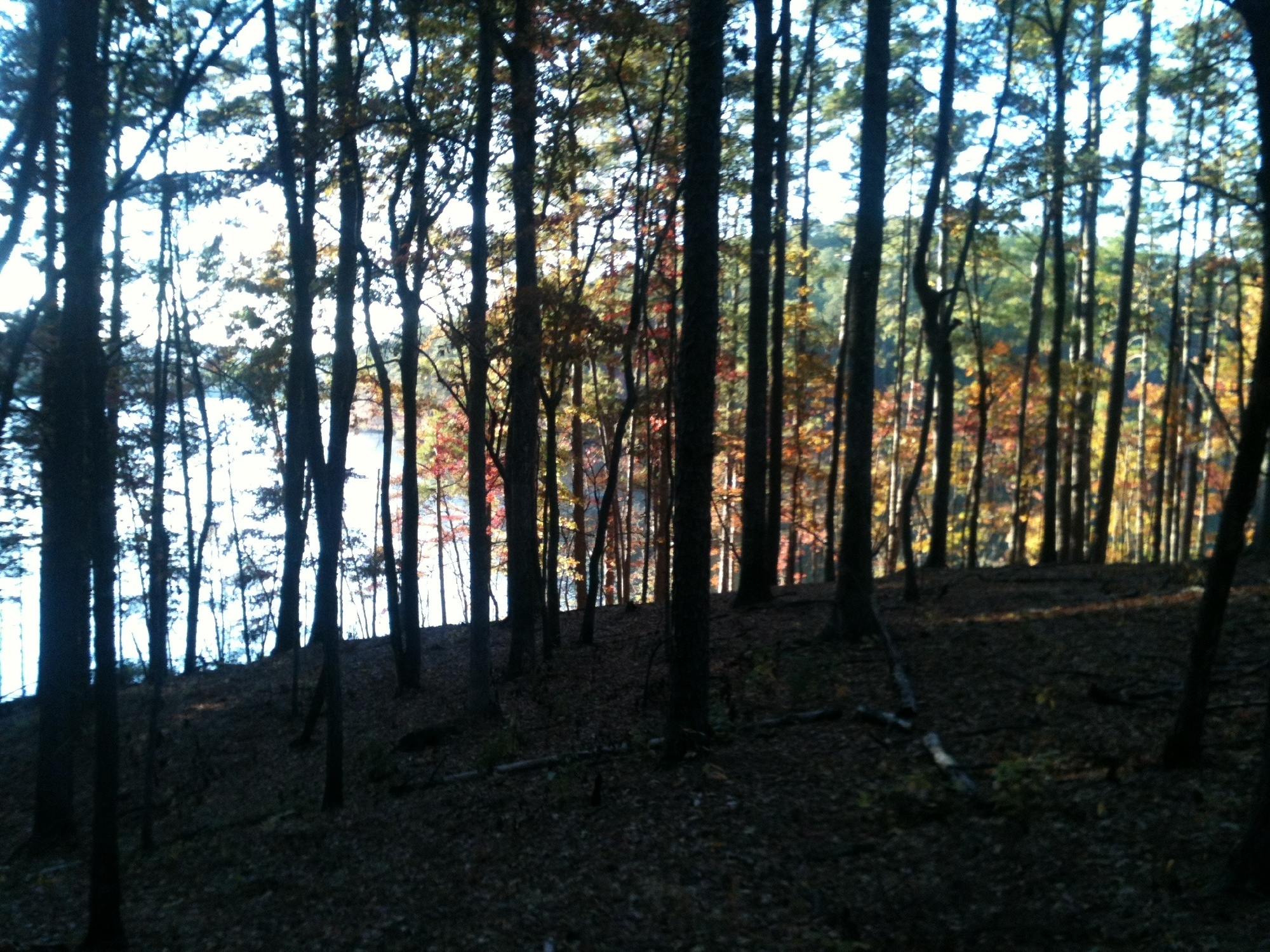 View of Lake Howard from the Lakeview Loop in the fall. Notice the leaf ...