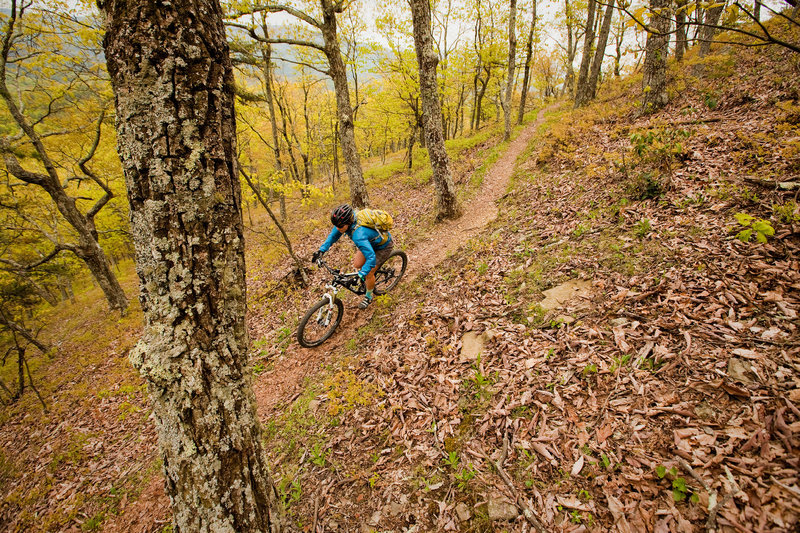 Bald Ridge Trail is one long, weet singletrack descent from the ...