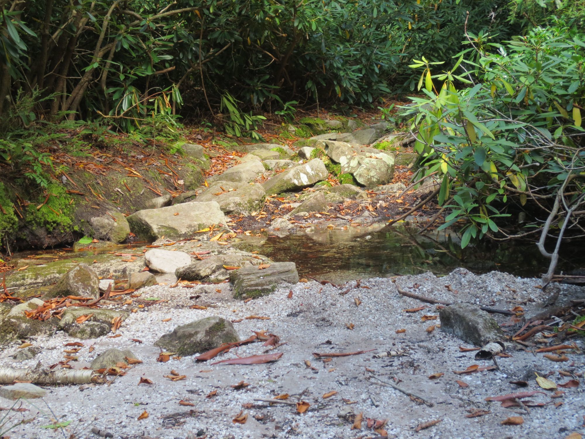 Start of Lindy Run Trail