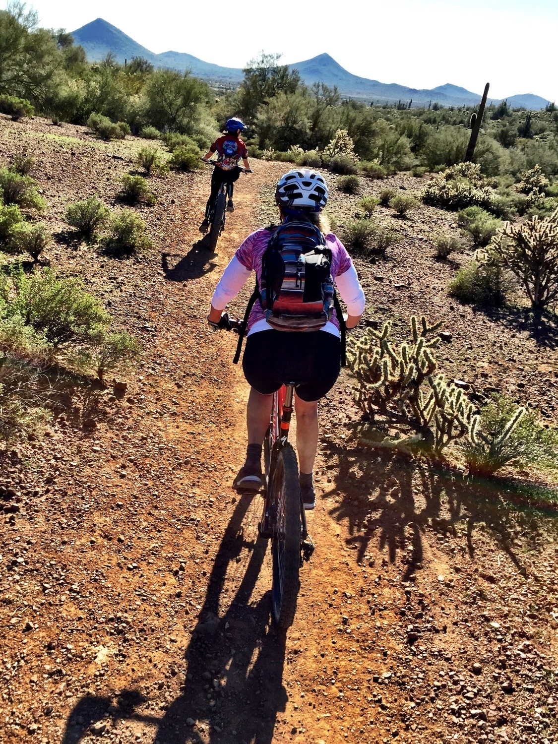 Apache Wash Trail