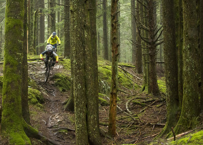Mountain Bike Trails near Sumas Mountain