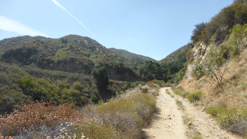 Elsmere Canyon Open Space
