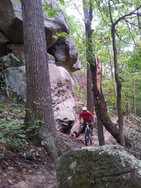 Rock outcroppings at seven caves. Archers Fork Loop Trail