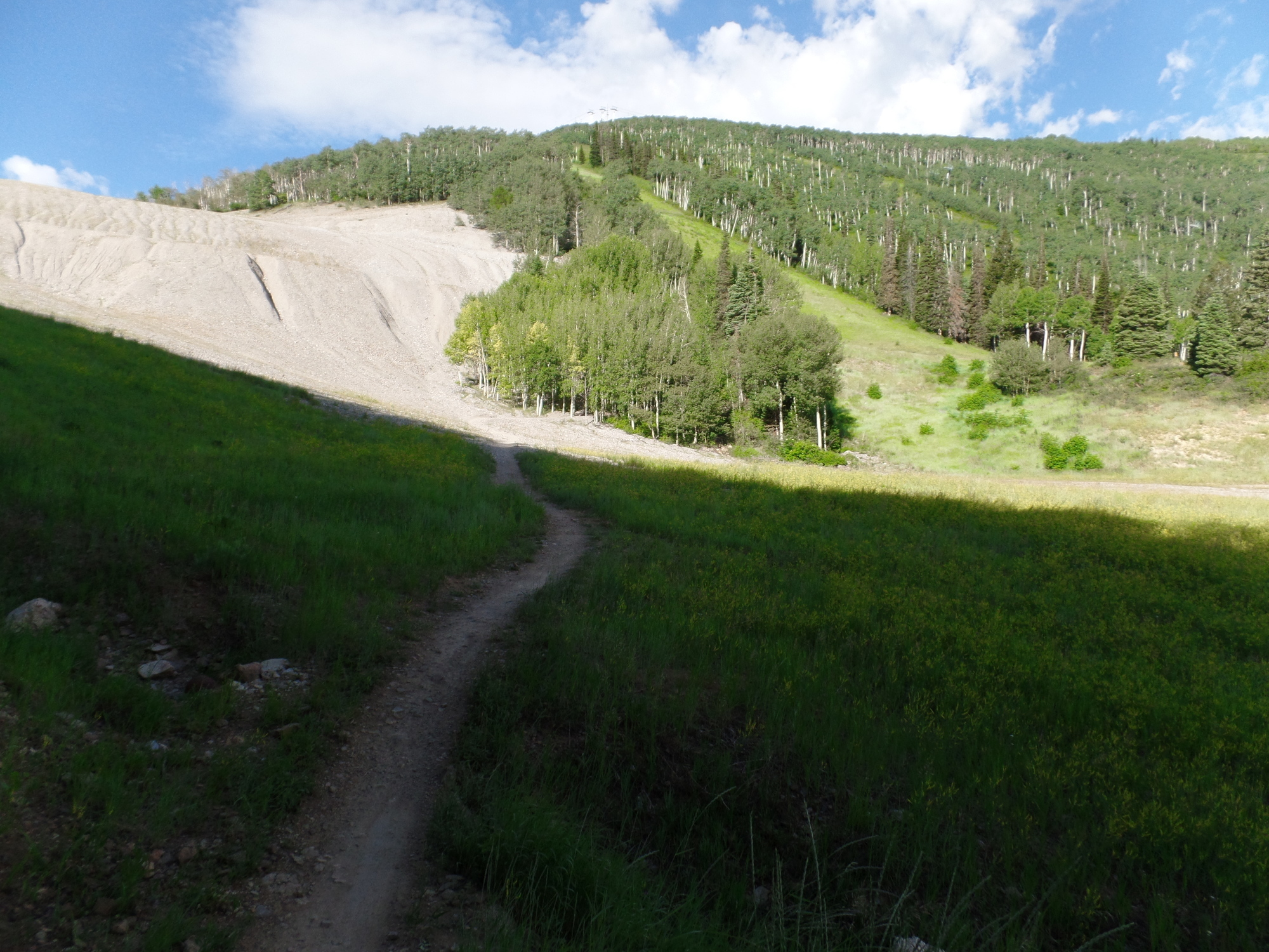 Part of Jenni's Trail looking out towards the tailings pile, which the ...