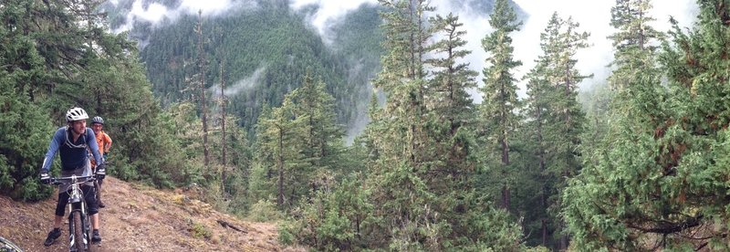Lower Dungeness and Gold Creek Loop Mountain Bike Trail, Sequim, Washington