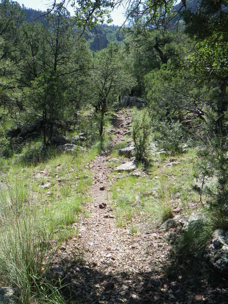 Mesa Trail #13A Mountain Bike Trail, Socorro, New Mexico