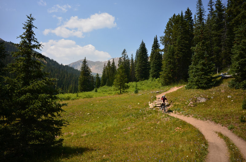 Herman Gulch Trail Mountain Bike Trail, Georgetown, Colorado