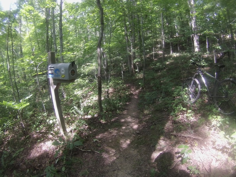 Low Gap Trail Mountain Bike Trail, Spencer, West Virginia