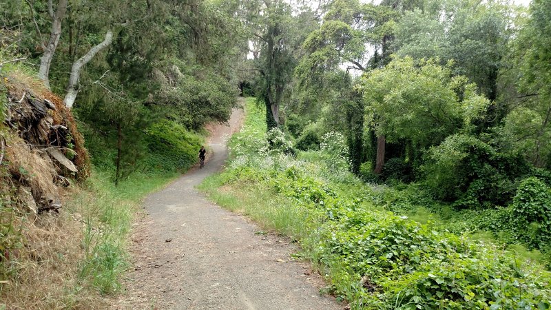 Santa Rosa Creek Trail Mountain Bike Trail, Cambria, California