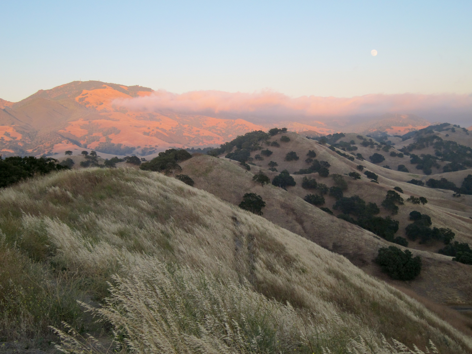 Shell Ridge Open Space.