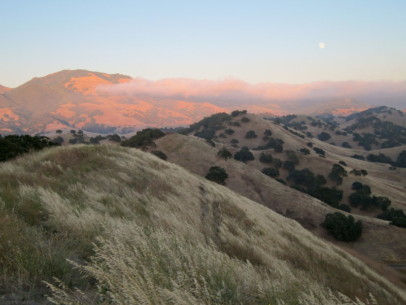Shell Ridge Open Space.