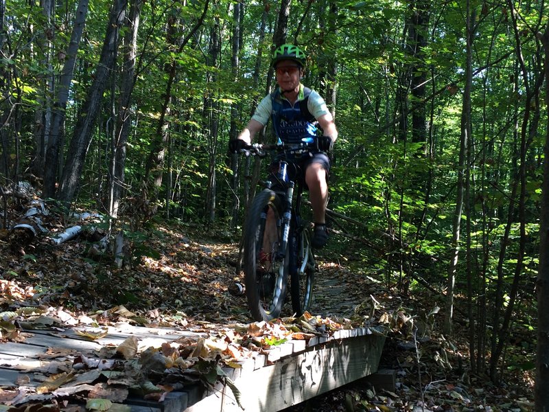 Riding Seeping Ledge Bridge on Svelte Tiger