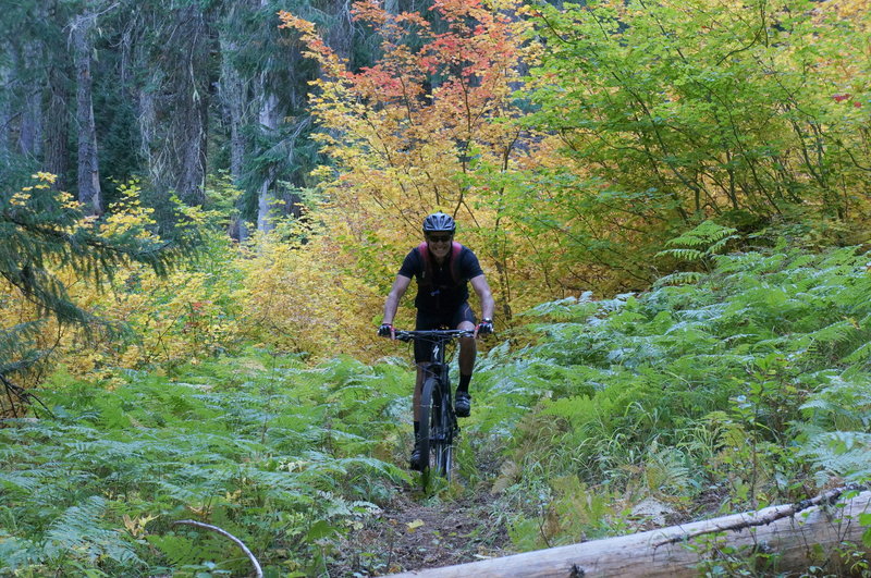 Box Canyon - Chucksney - Grasshopper Lollipop Mountain Bike Trail ...