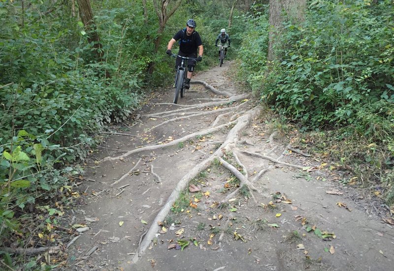 Ryan and Ben approach a challenging root system.