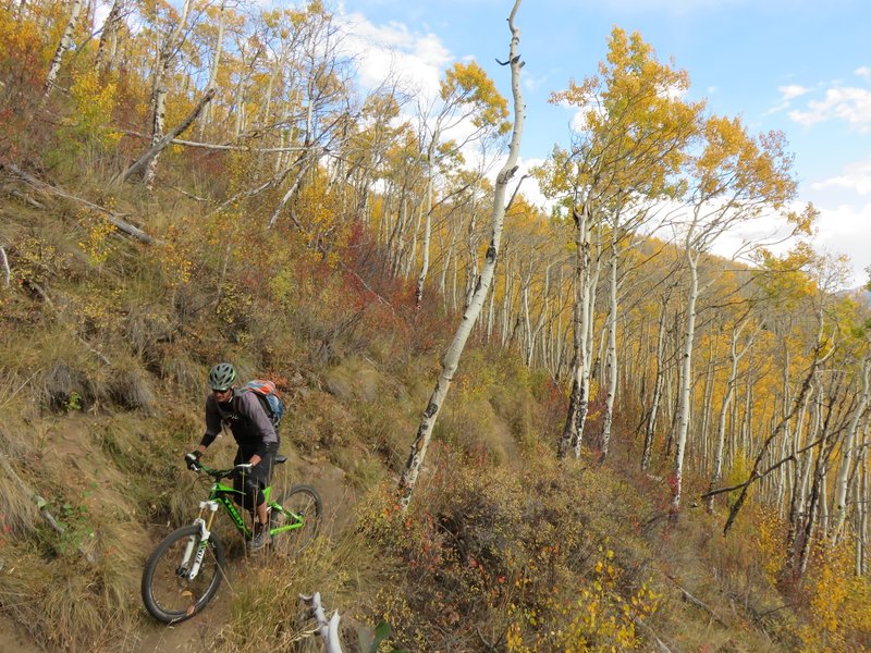 Sunnyside Trail, always a worthy destination when the aspen leaves ...