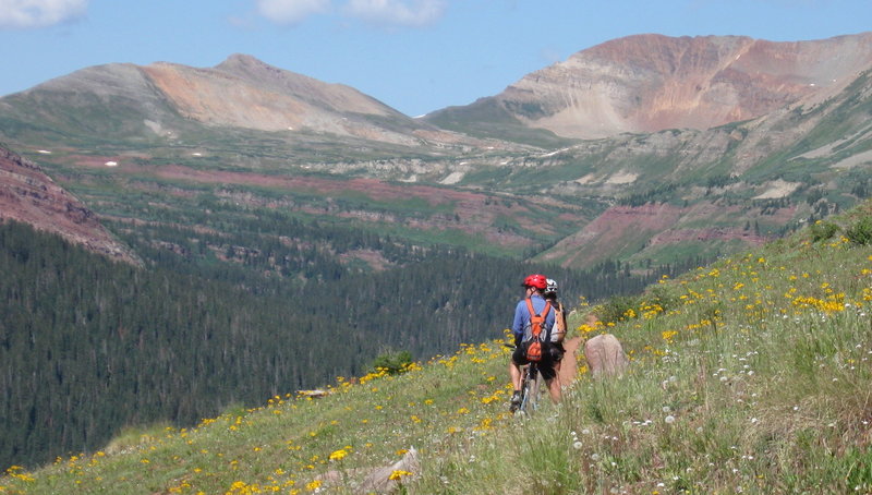 Molas Pass to Engineer Mountain Trail Out and Back Mountain Bike Trail ...