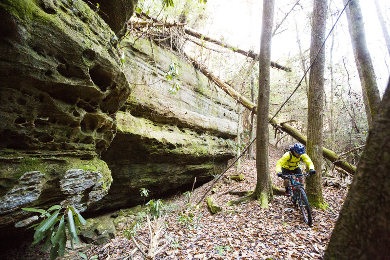 Kentucky Trail Loop Mountain Bike Trail, Pine Knot, Kentucky