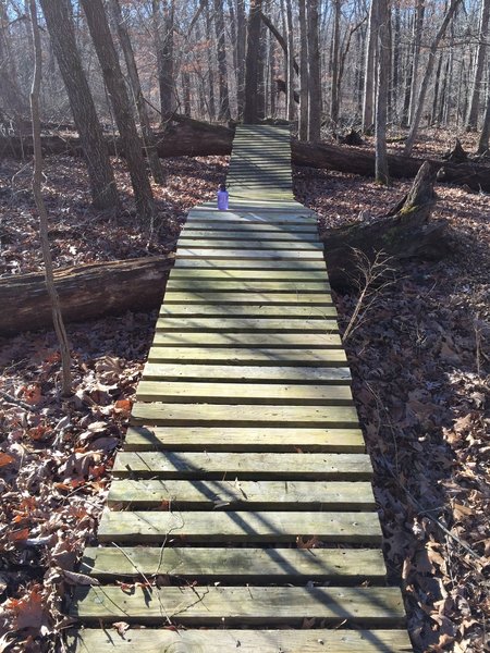 Nice log ramp feature.