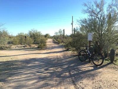 Mountain Bike Trails near Arthur Pack Regional Park