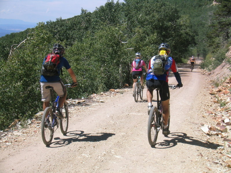 Tabeguache Trail - Cottonwood Road Section Mountain Bike Trail ...