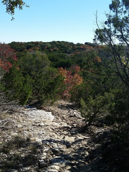 Looking down the Spiral Rock downhill on the Fossil Ridge Trail.