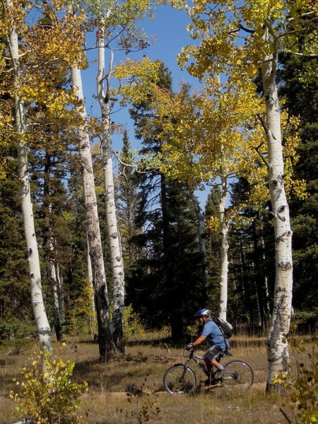 Tabeguache Trail - Transfer Road Section Mountain Bike Trail, Montrose ...