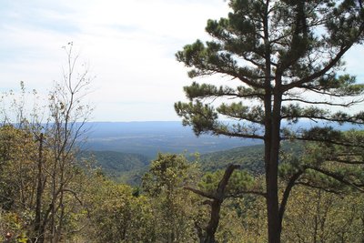 Ouachita National Recreation Trail - IMBA Epic Mountain Bike Trail ...