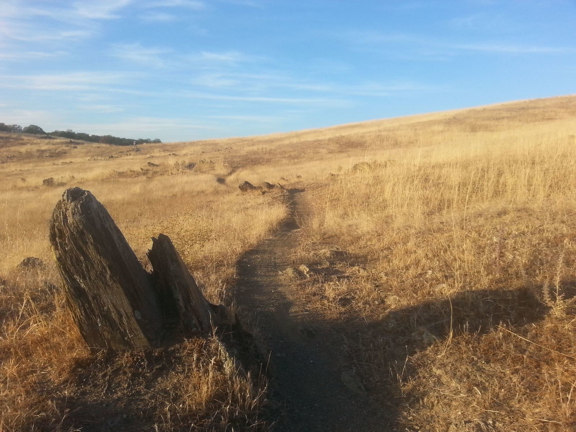 Skinny cow trails and crazy geology.