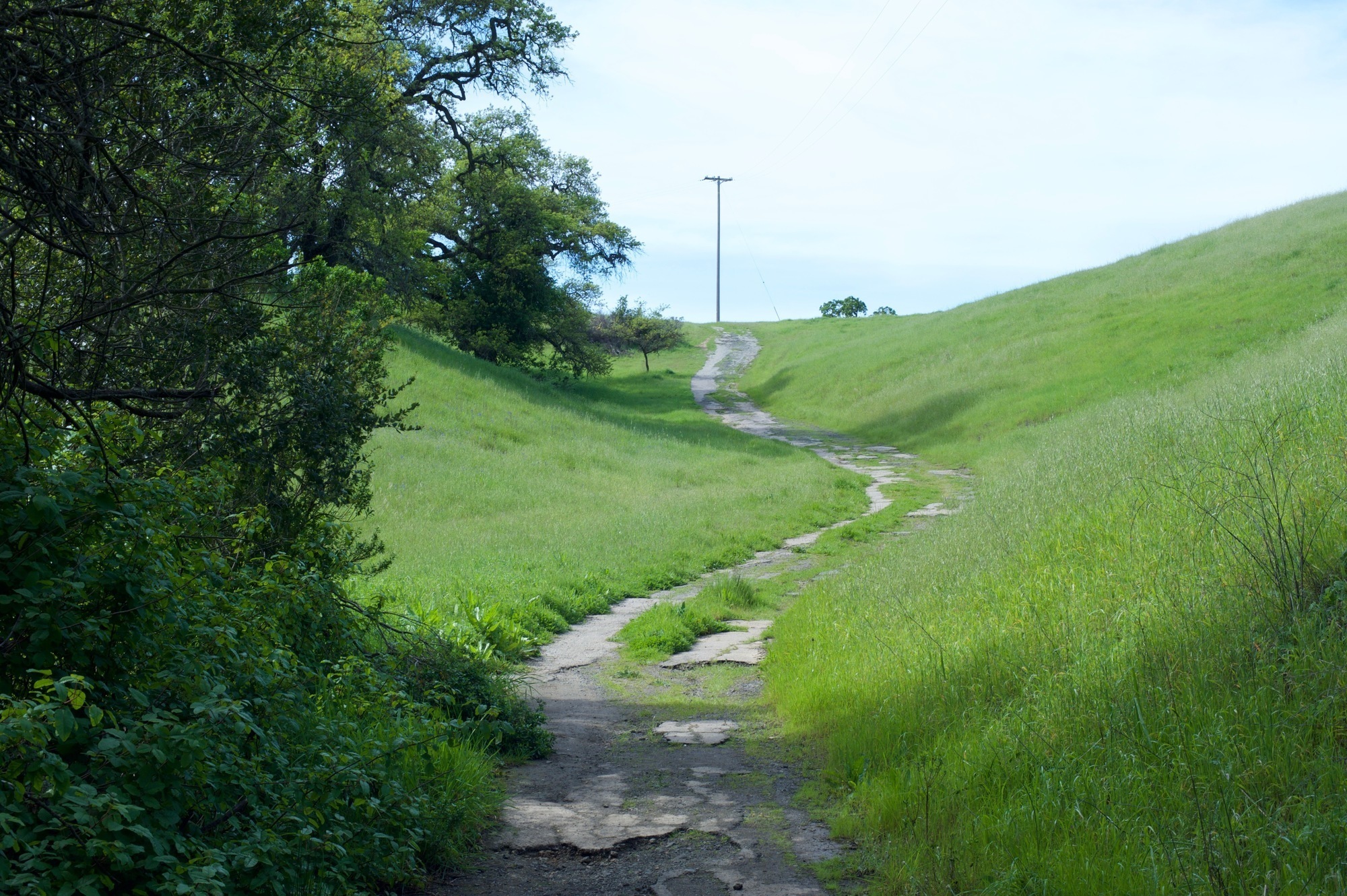 The old road as it climbs up the ravine. You can see where the concrete ...