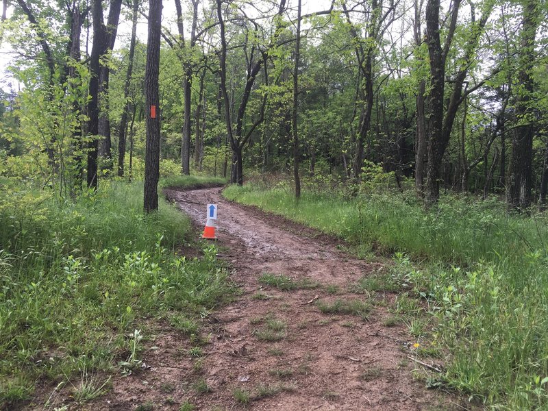 Looking a the opening of Bear Bottom Loop Trail after crossing the ...